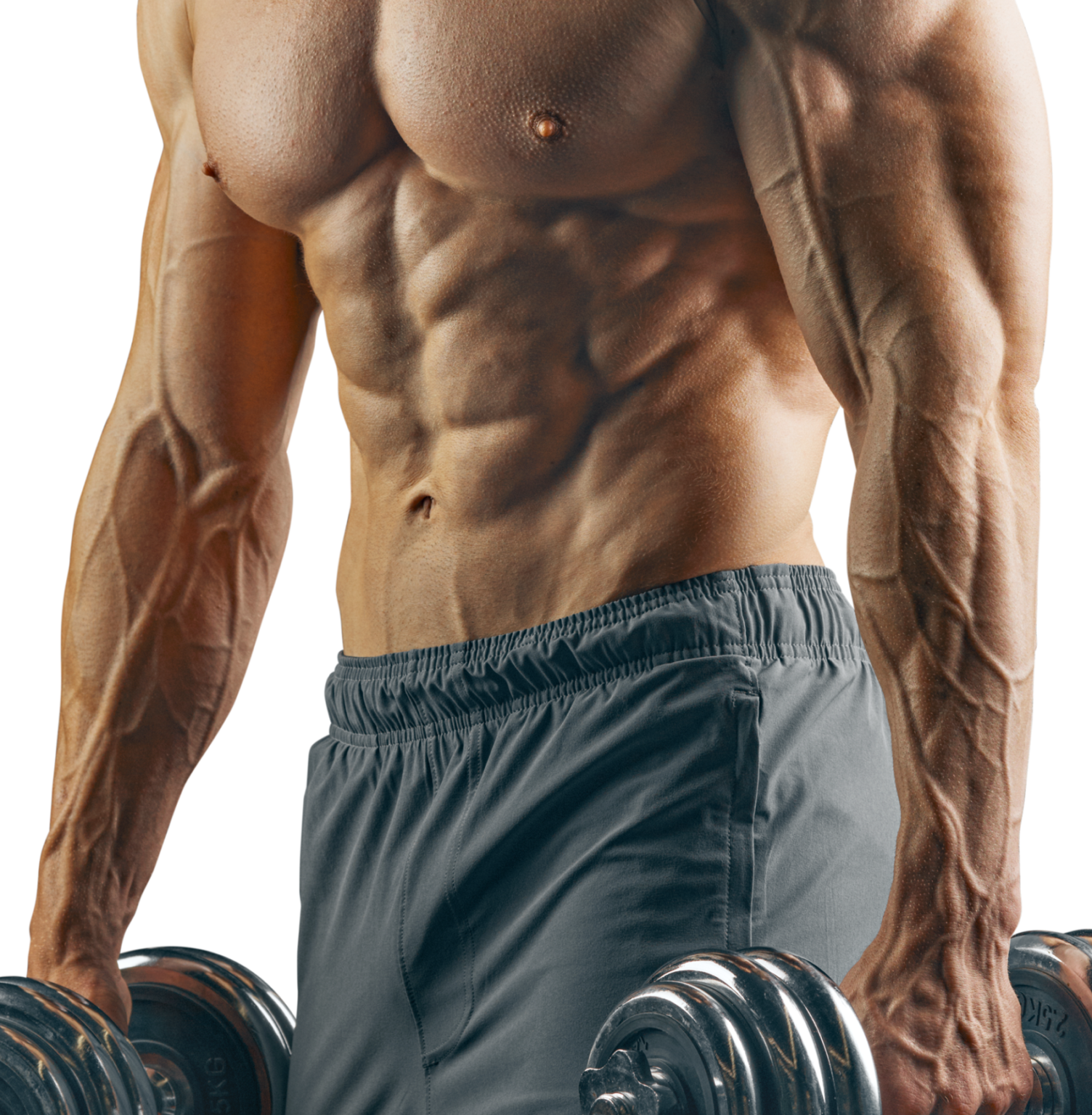 Exercices Haut du Corps Guide Complet pour