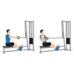 Tirage Horizontal À La Poulie Pour Un Dos Fort Et Puissant